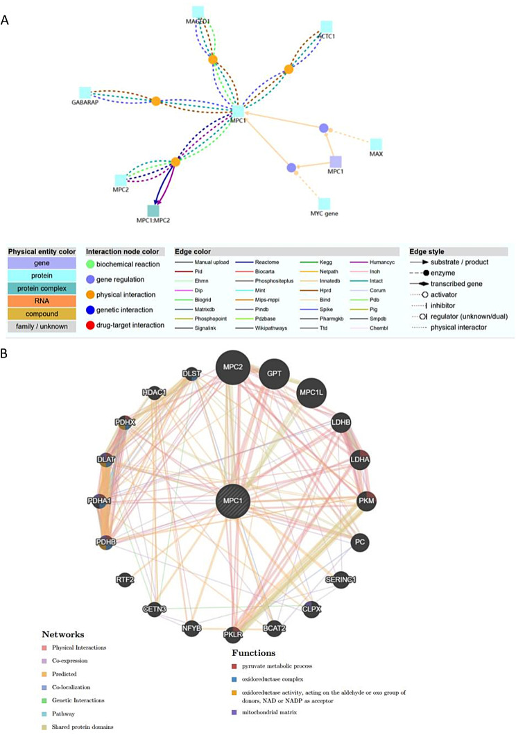 Exploring MPC1 as a potential ferroptosis-linked biomarker in the cervical cancer tumor ...