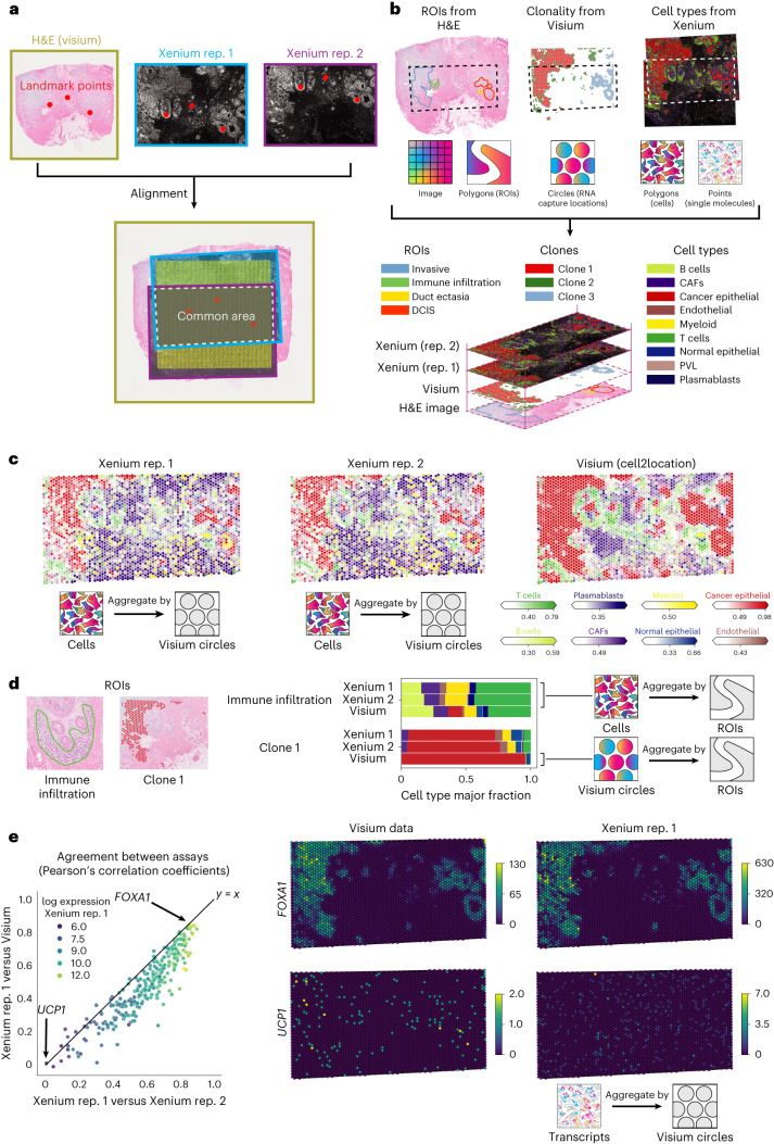 SpatialData: an open and universal data framework for spatial omics - PMC