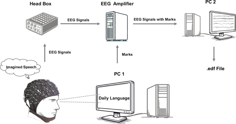 Chisco: An EEG-based BCI dataset for decoding of imagined speech - PMC