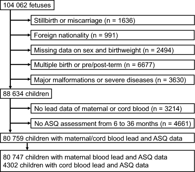 No association between prenatal lead exposure and neurodevelopment during early childhood in the ...
