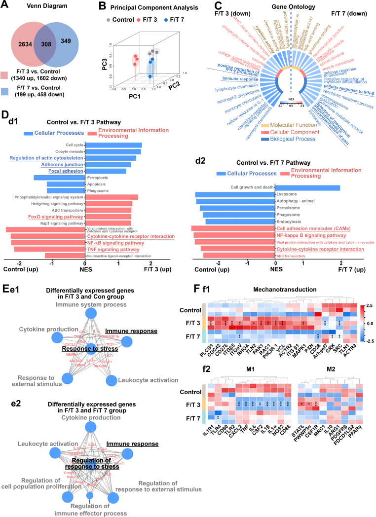 Tailoring the multiscale mechanics of tunable decellularized extracellular matrix (dECM) for ...