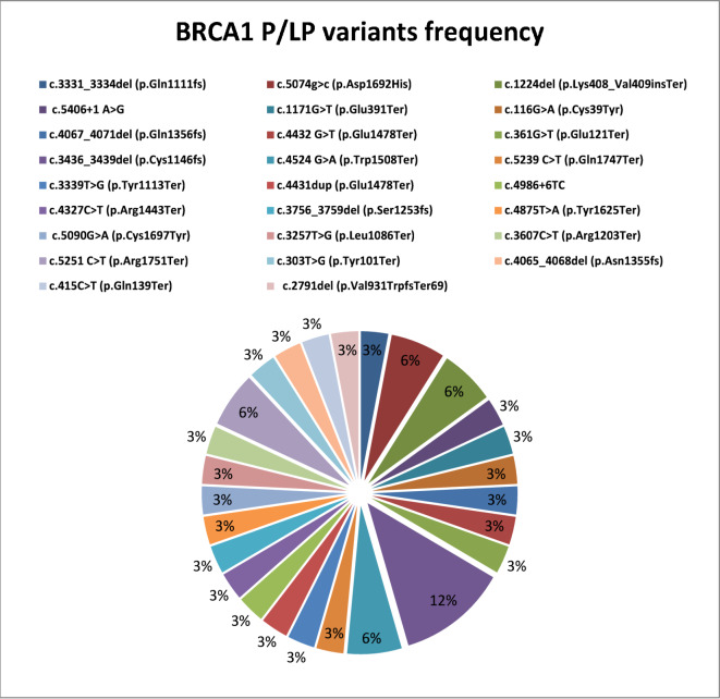 Mutational spectrum of BRCA genes in Egyptian patients with breast cancer - PMC