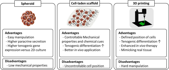 Three-Dimensional Cell Culture System for Tendon Tissue Engineering - PMC
