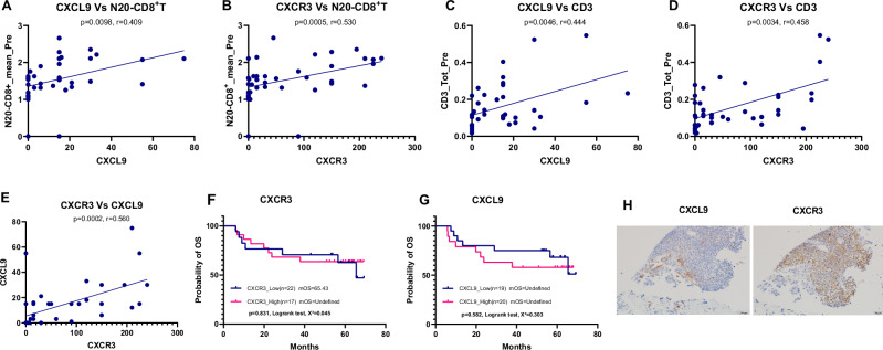 Spatial proximity of CD8+ T cells to tumor cells predicts neoadjuvant therapy efficacy in breast ...