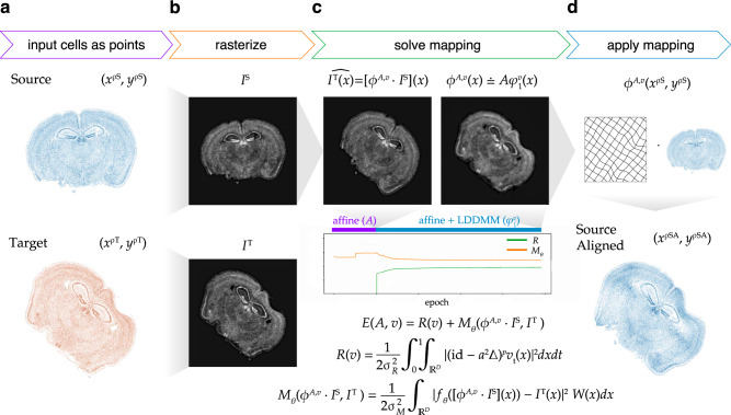 STalign: Alignment of spatial transcriptomics data using diffeomorphic metric mapping - PMC