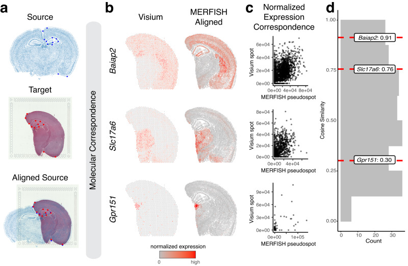 STalign: Alignment of spatial transcriptomics data using diffeomorphic metric mapping - PMC