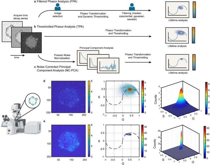 Enhanced fluorescence lifetime imaging microscopy denoising via principal component analysis - PMC