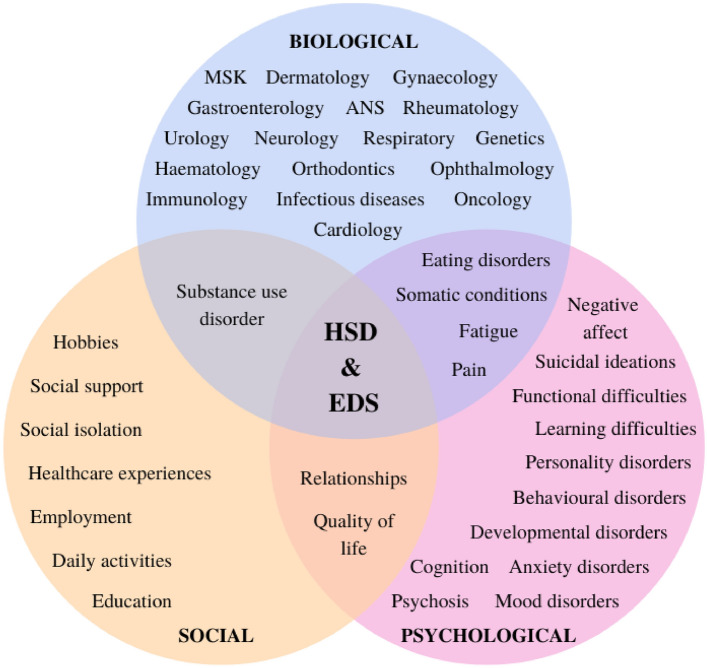 The biopsychosocial impact of hypermobility spectrum disorders in adults: a scoping review - PMC
