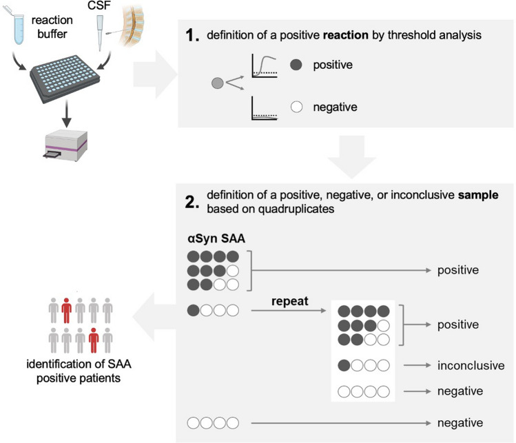 A quantitative Lewy-fold-specific alpha-synuclein seed amplification assay as a progression ...