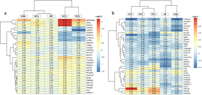 Development and validation of asthma risk prediction models using co-expression gene modules and ...