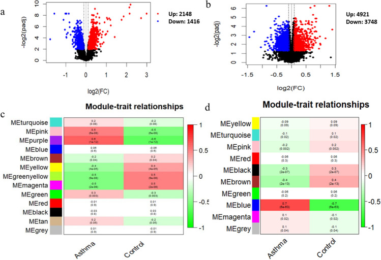 Development and validation of asthma risk prediction models using co ...