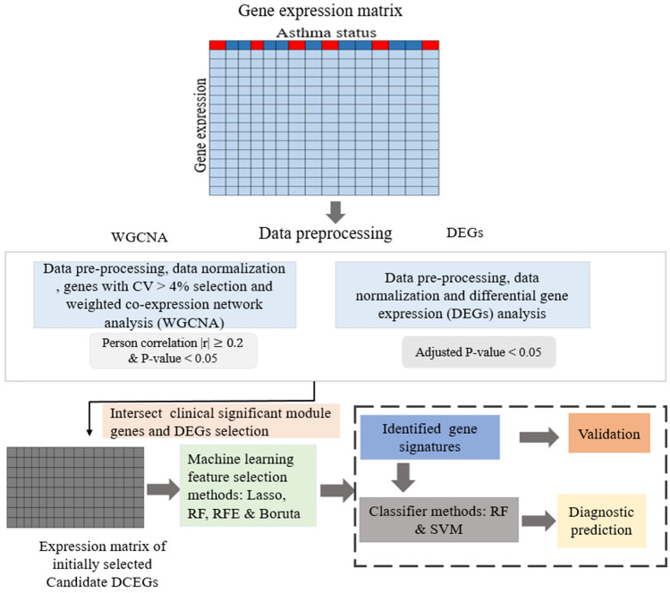 Development and validation of asthma risk prediction models using co ...