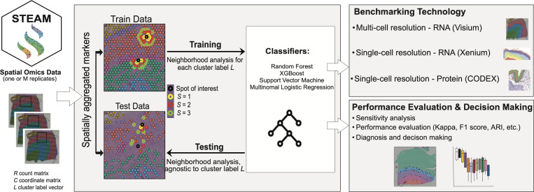STEAM: Spatial Transcriptomics Evaluation Algorithm and Metric for clustering performance - PMC