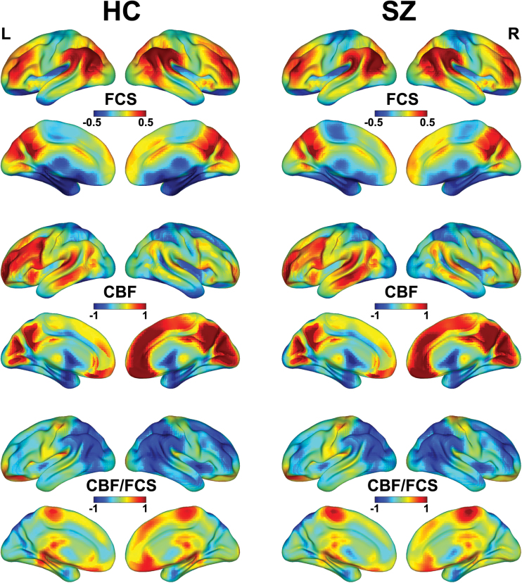 Altered Coupling Between Resting-State Cerebral Blood Flow and Functional Connectivity in ...