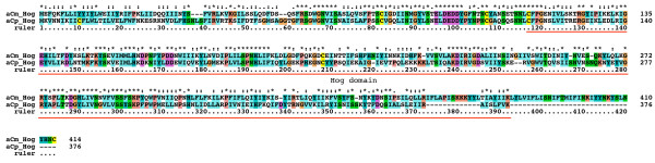 Figure 12