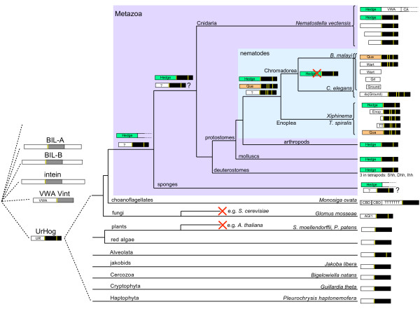 Figure 20