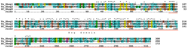 Figure 10
