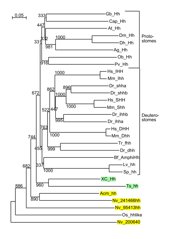 Figure 9