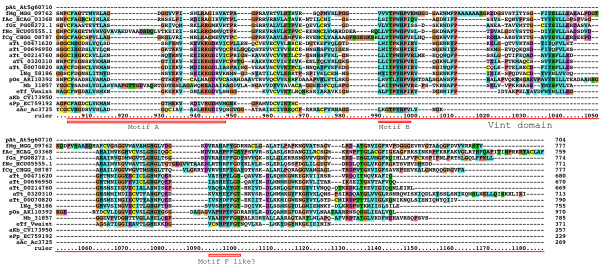Figure 19
