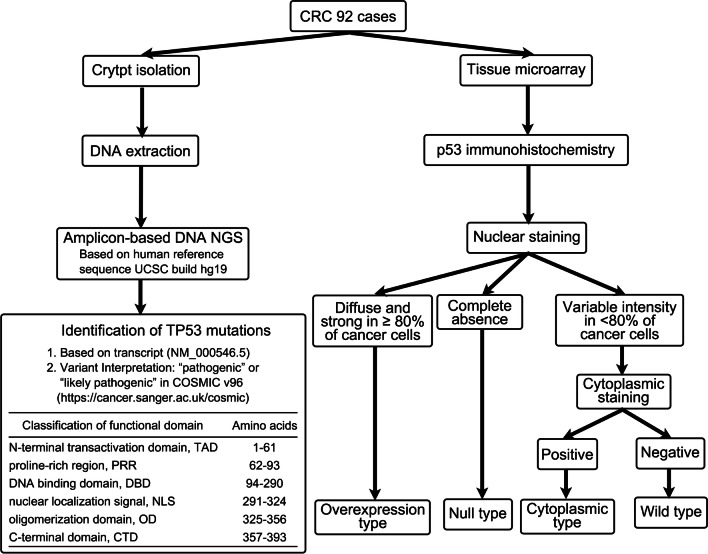 The Pattern Based Interpretation Of P53 Immunohistochemical Expression As A Surrogate Marker For