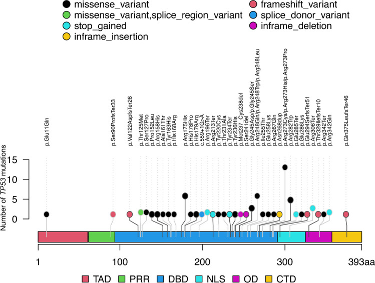 The Pattern Based Interpretation Of P53 Immunohistochemical Expression As A Surrogate Marker For
