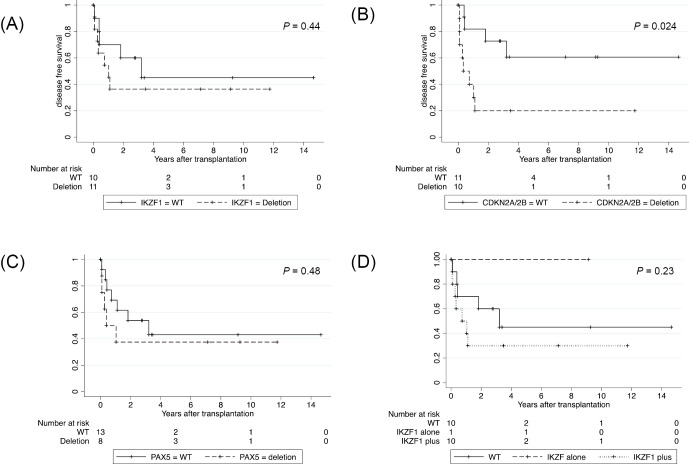 Association Of Cdkn2a 2b Deletion With Relapse After Hematopoietic Stem