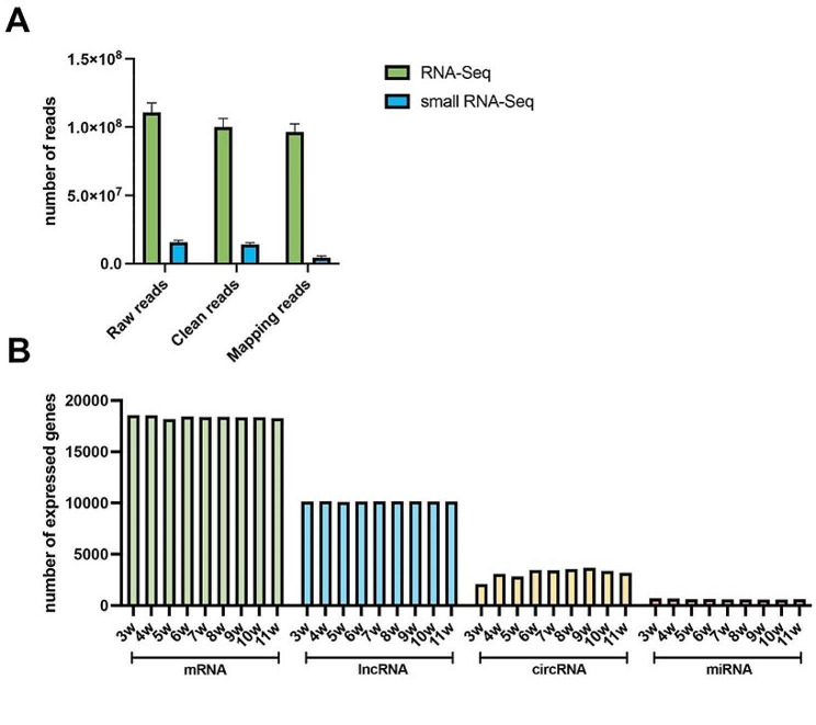 Multiple Transcriptome Analyses Reveal Mouse Testis Developmental