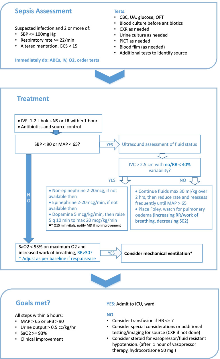Effect of a tailored sepsis treatment protocol on patient outcomes in ...