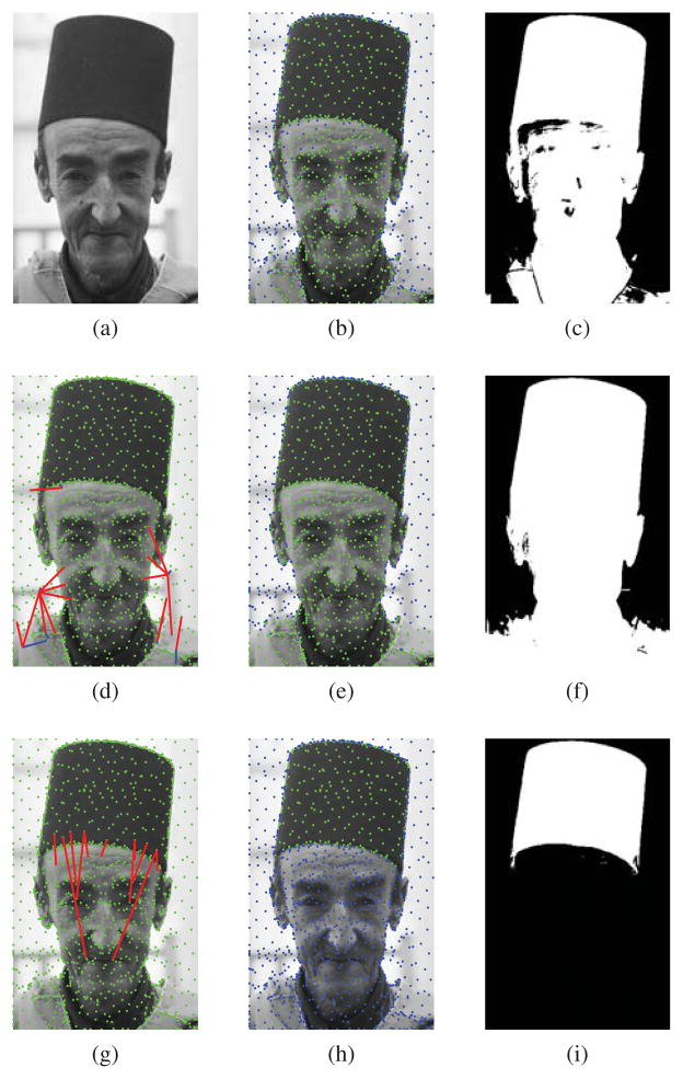 CONSTRAINED SPECTRAL CLUSTERING FOR IMAGE SEGMENTATION - PMC