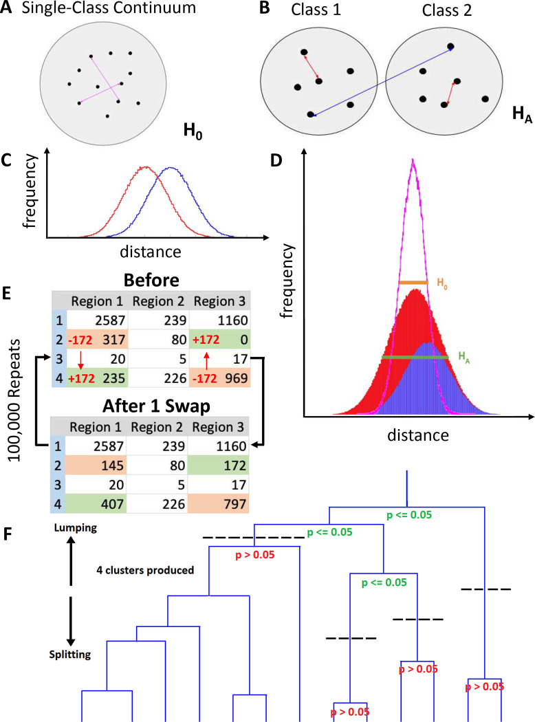 Unsupervised classification of brain-wide axons reveals neuronal projection blueprint - PMC