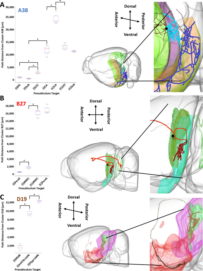 Unsupervised classification of brain-wide axons reveals neuronal projection blueprint - PMC