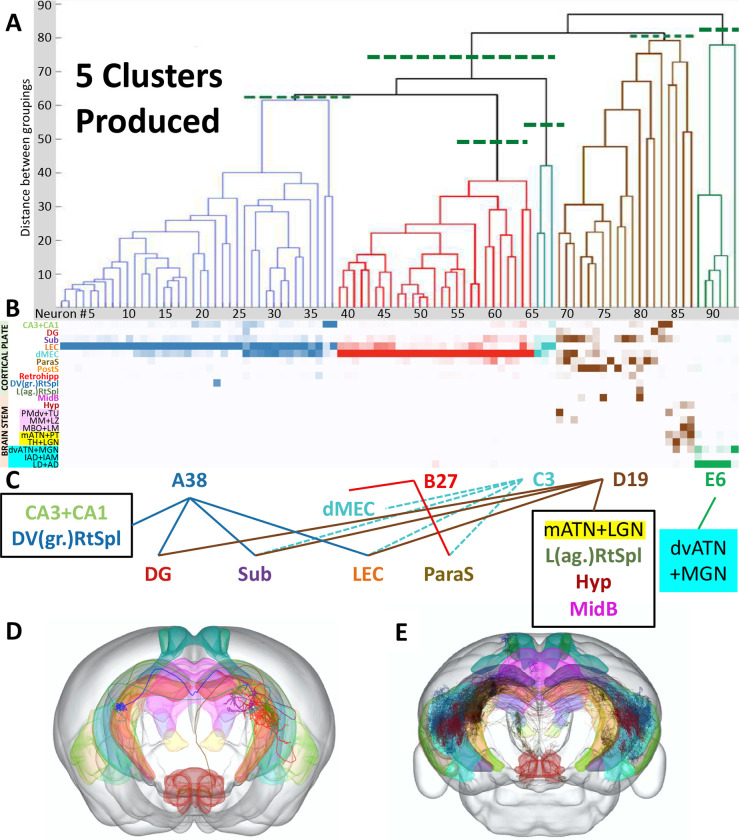 Unsupervised classification of brain-wide axons reveals neuronal projection blueprint - PMC