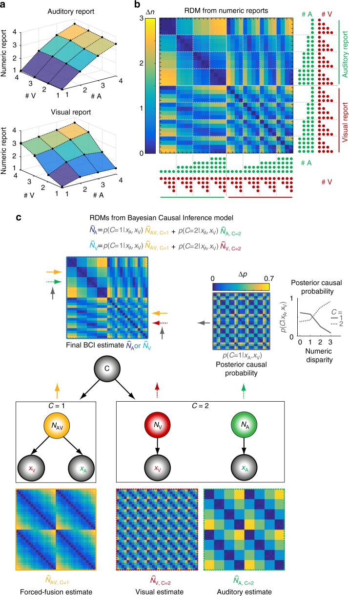 The neural dynamics of hierarchical Bayesian causal inference in ...