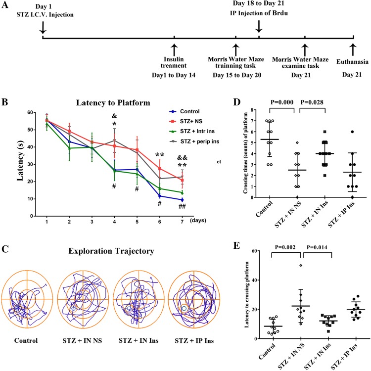 Intranasal insulin administration may be highly effective in improving ... Intranasal insulin administration may be highly effective in improving ...