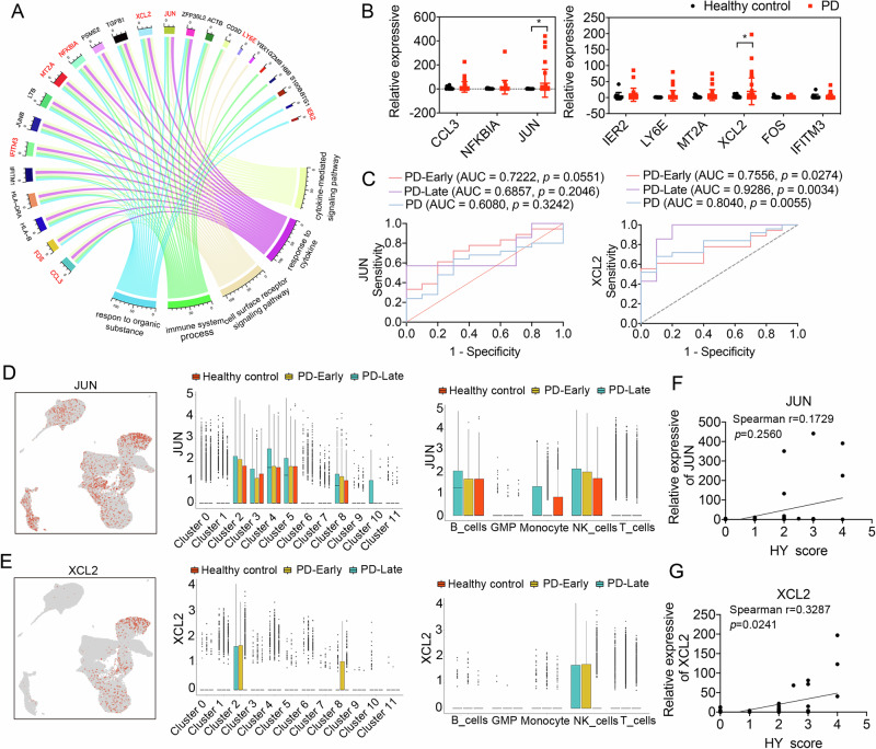 Single-cell RNA sequencing reveals peripheral immunological features in ...