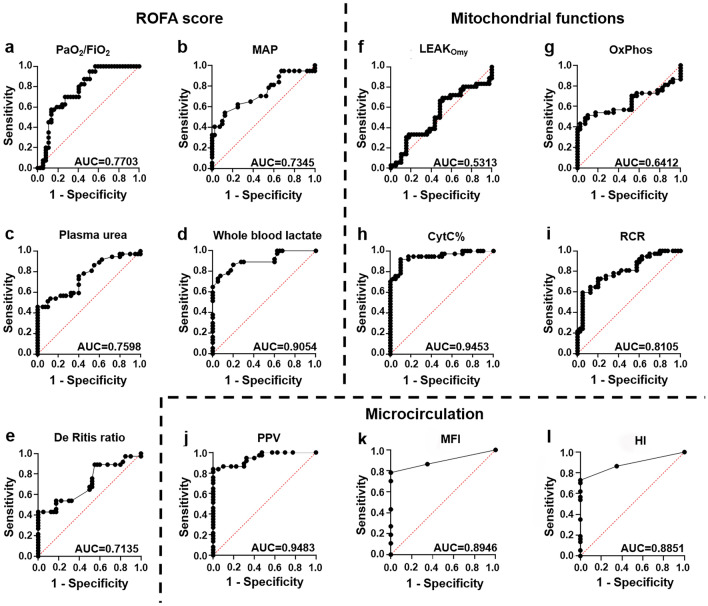 Microcirculation Driven Mitochondrion Dysfunction During The Progression Of Experimental Sepsis