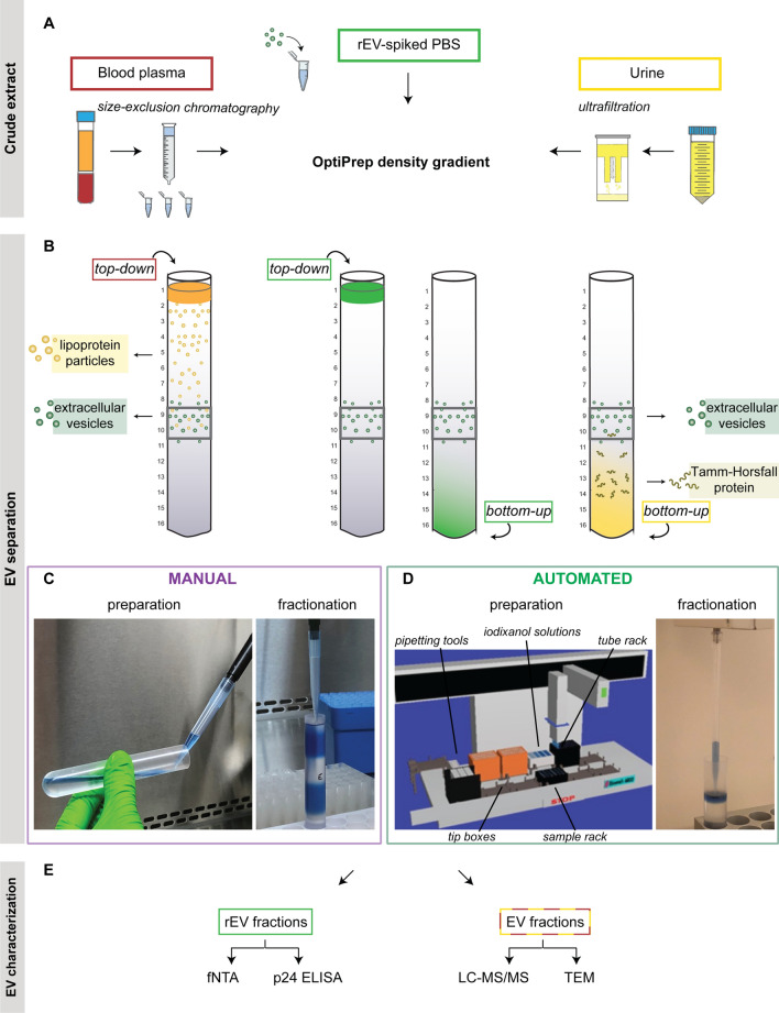 Integrating automated liquid handling in the separation workflow of ...