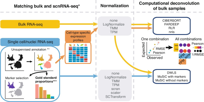Effective methods for bulk RNA-seq deconvolution using scnRNA-seq transcriptomes - PMC