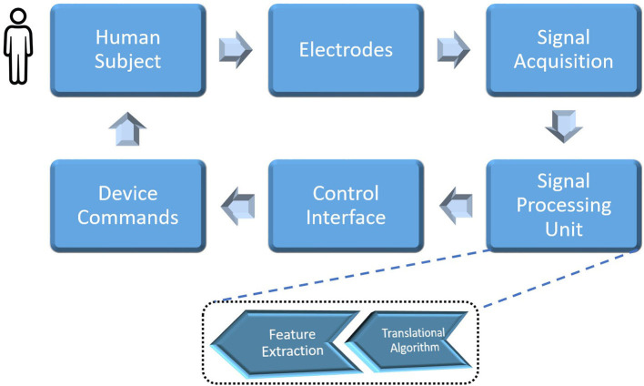 Status of deep learning for EEG-based brain–computer interface applications - PMC