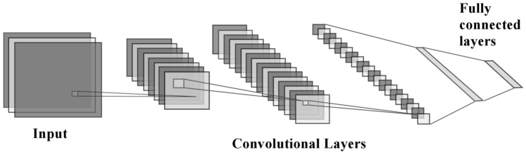 Utilization of Deep Convolutional Neural Networks for Accurate Chest X-Ray Diagnosis and Disease ...