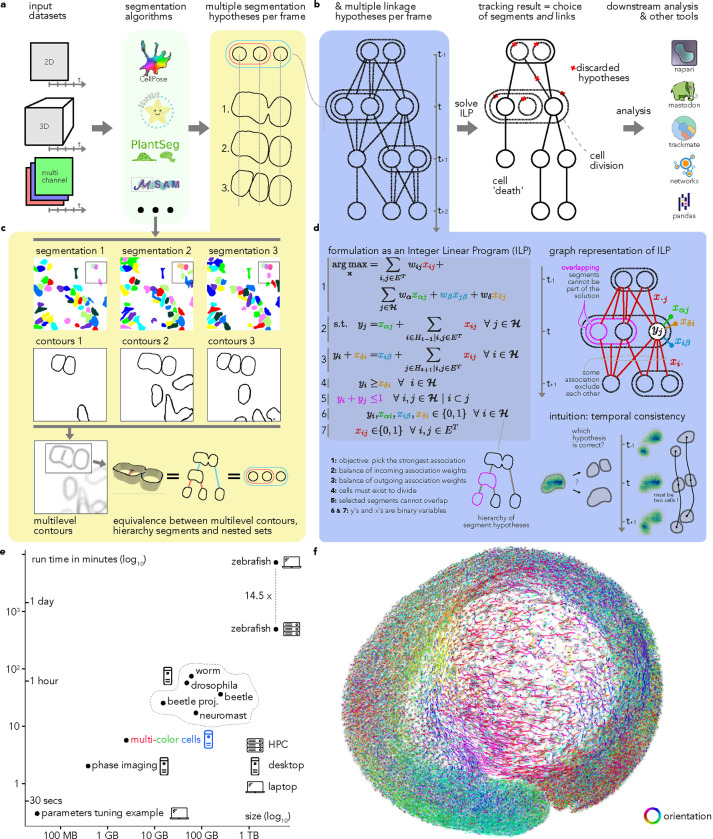 Ultrack: pushing the limits of cell tracking across biological scales - PMC