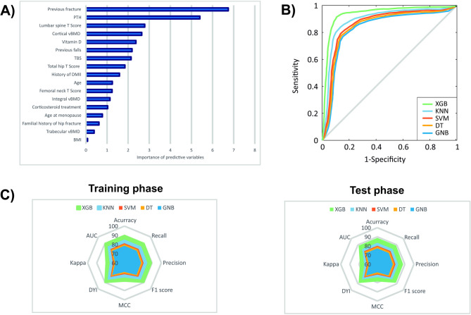 Assessment of the risk of osteoporotic bone fracture in postmenopausal ...