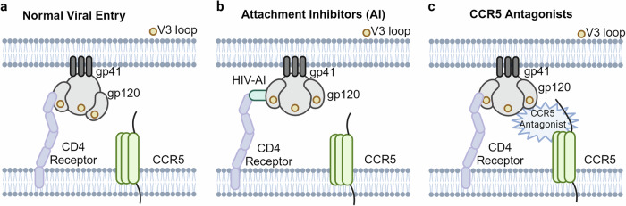 New insights into protein–protein interaction modulators in drug discovery and therapeutic ...