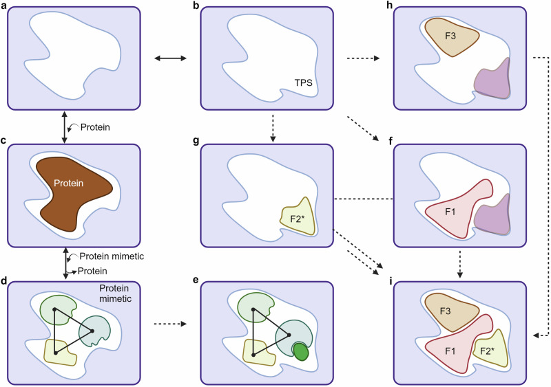 New insights into protein–protein interaction modulators in drug discovery and therapeutic ...