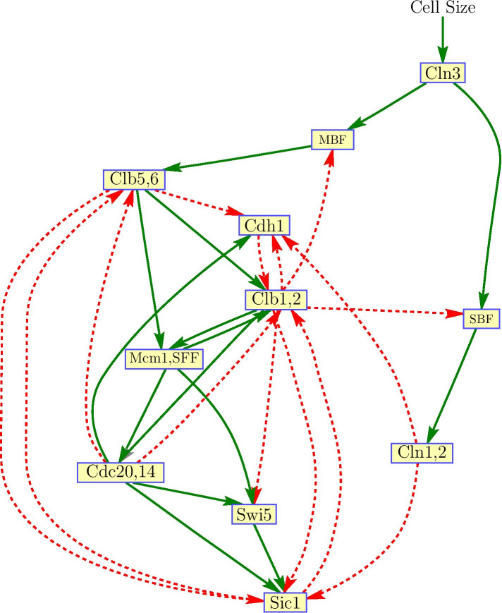 Boolean factor graph model for biological systems: the yeast cell-cycle network - PMC