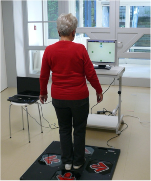 Effectiveness and sustainability of a motor-cognitive stepping exergame training on stepping ...