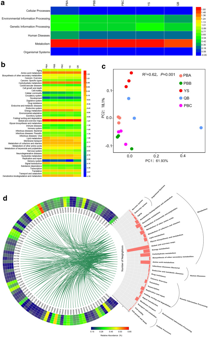 Composition and function of rhizosphere microbiome of Panax notoginseng with discrepant yields - PMC