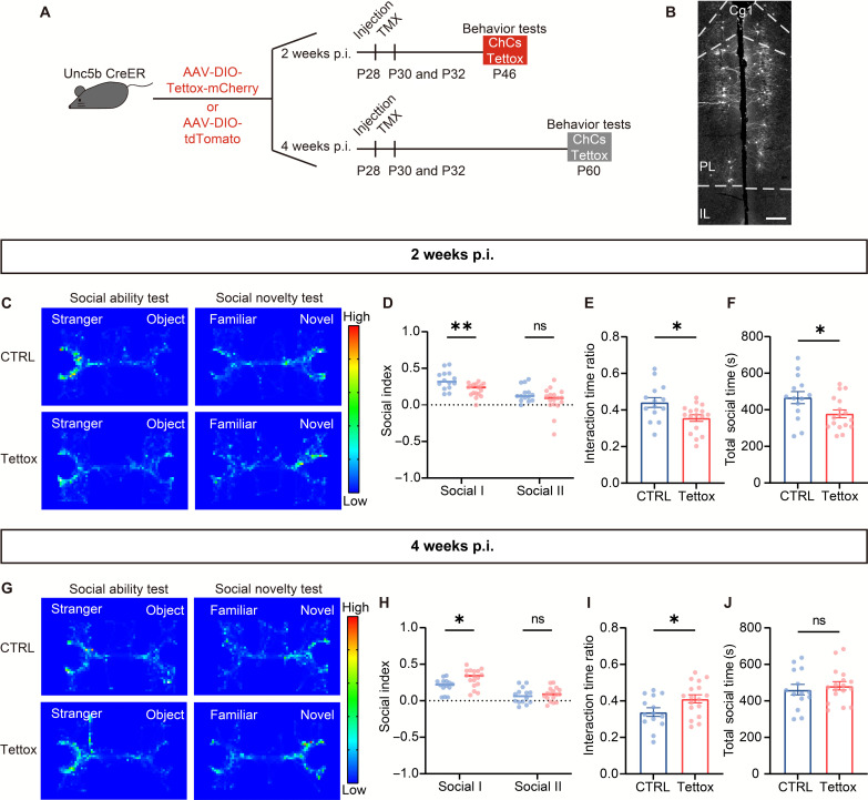 Axo-axonic synaptic input drives homeostatic plasticity by tuning the axon initial segment ...