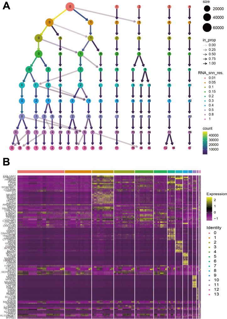 Identification of hub genes through integrated single-cell and ...