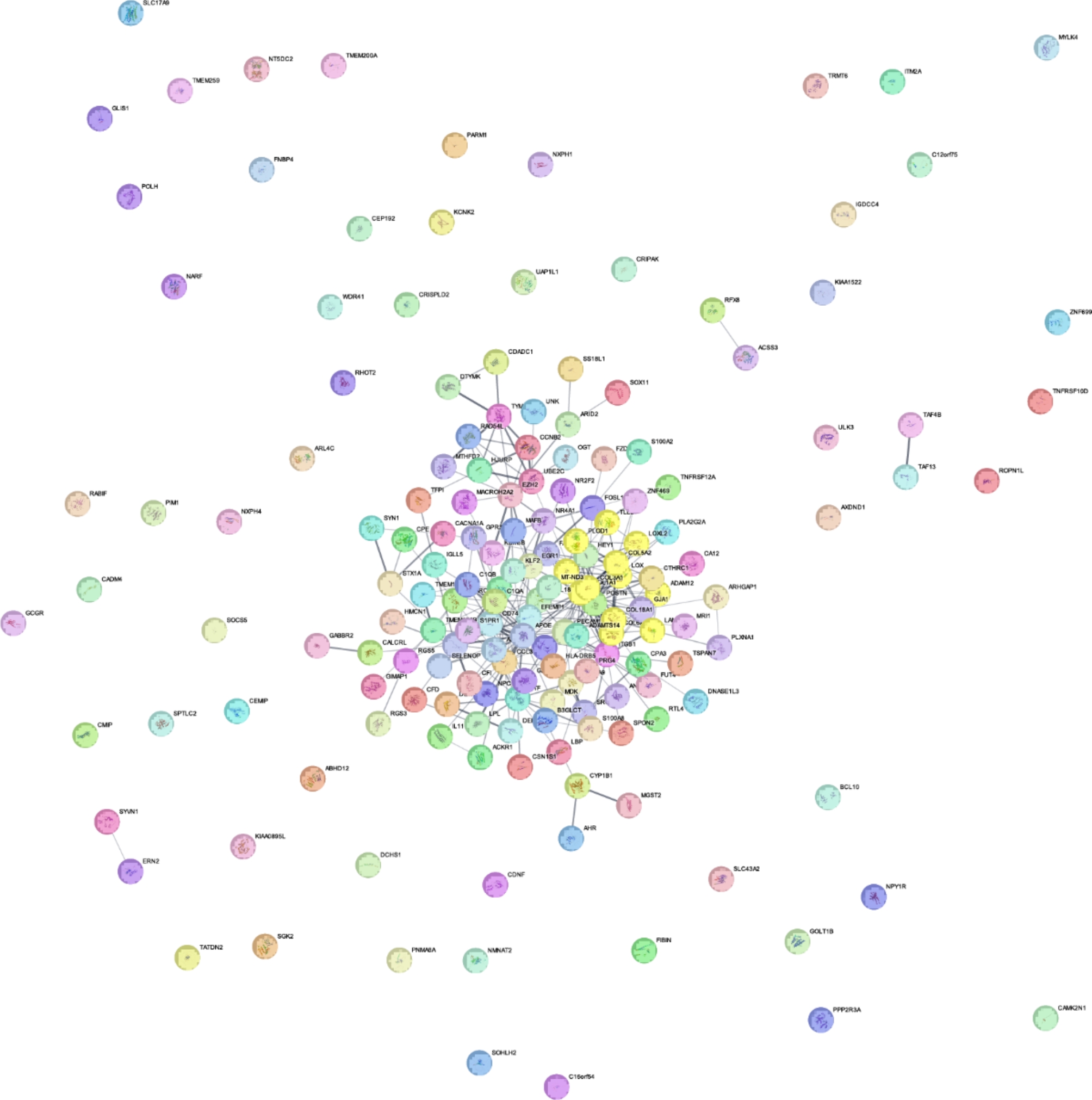 Identification of hub genes through integrated single-cell and ...